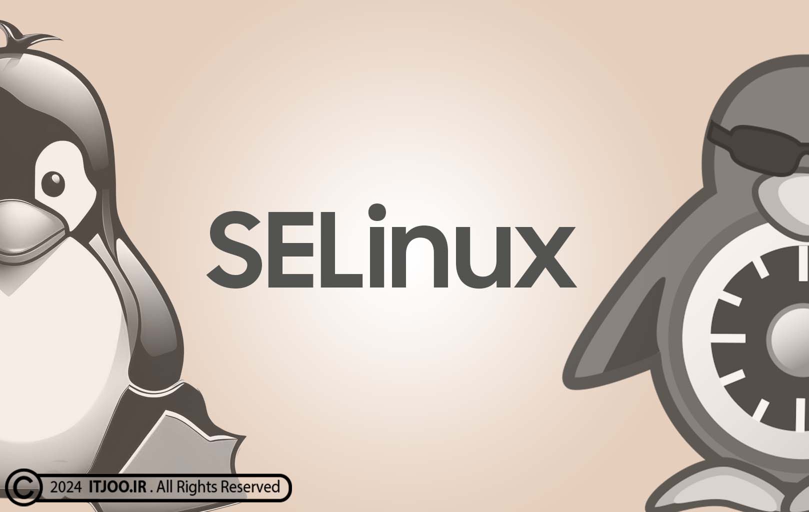 SELinux چیست؟